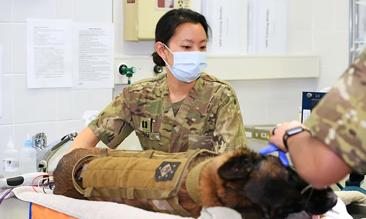 Life after service: The real challenge of being a military vet - Miltrade